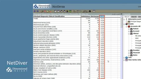 NetDiver | Dimensional Insight