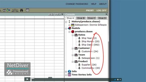 NetDiver | Dimensional Insight