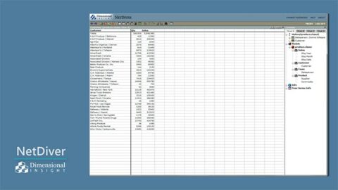 NetDiver | Dimensional Insight