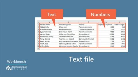 Workbench | Dimensional Insight