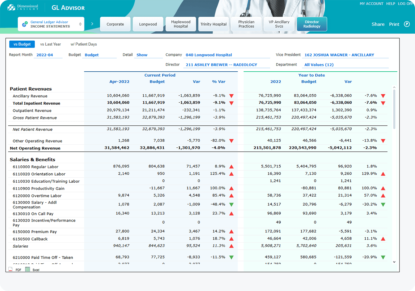Hospital Financial Analytics | General Ledger Advisor